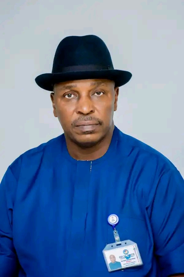 The Comparative Analyses Of Major Aspirants For Delta State House Of ...