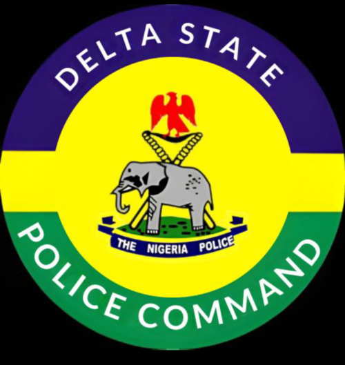 Delta CP Decorates 457 Newly Promoted Corporals, Urges Professionalism ...